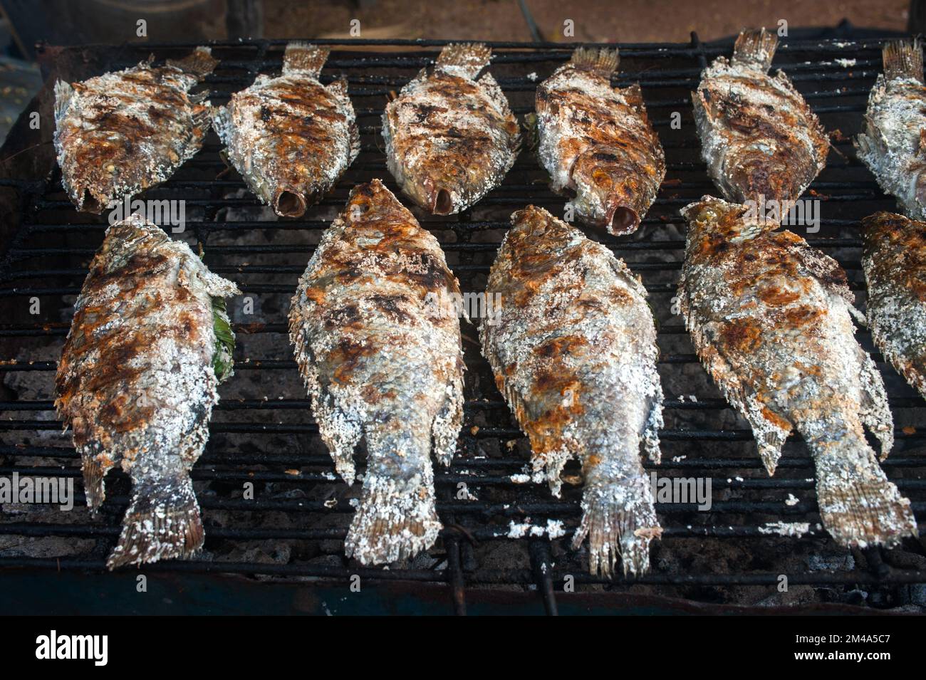 Fresh fish on grill Stock Photo - Alamy