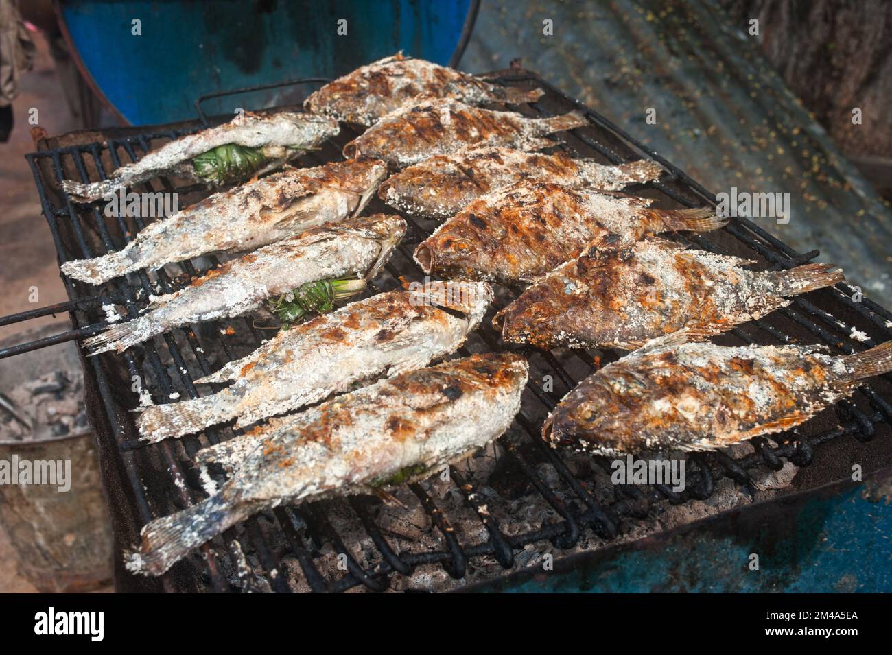 Fresh fish on grill Stock Photo - Alamy