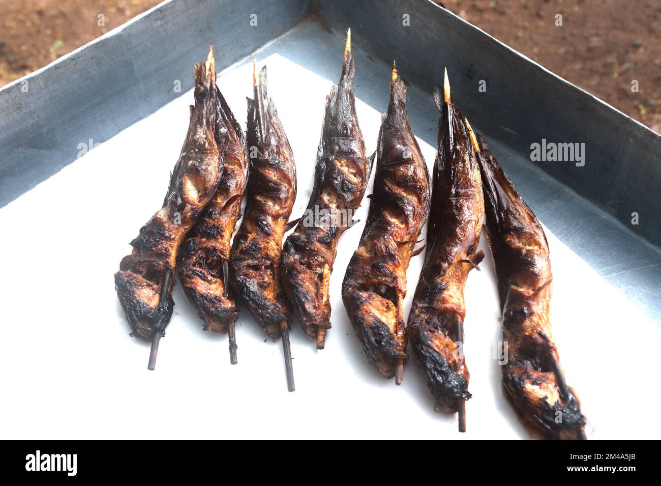 Fresh fish on grill Stock Photo - Alamy