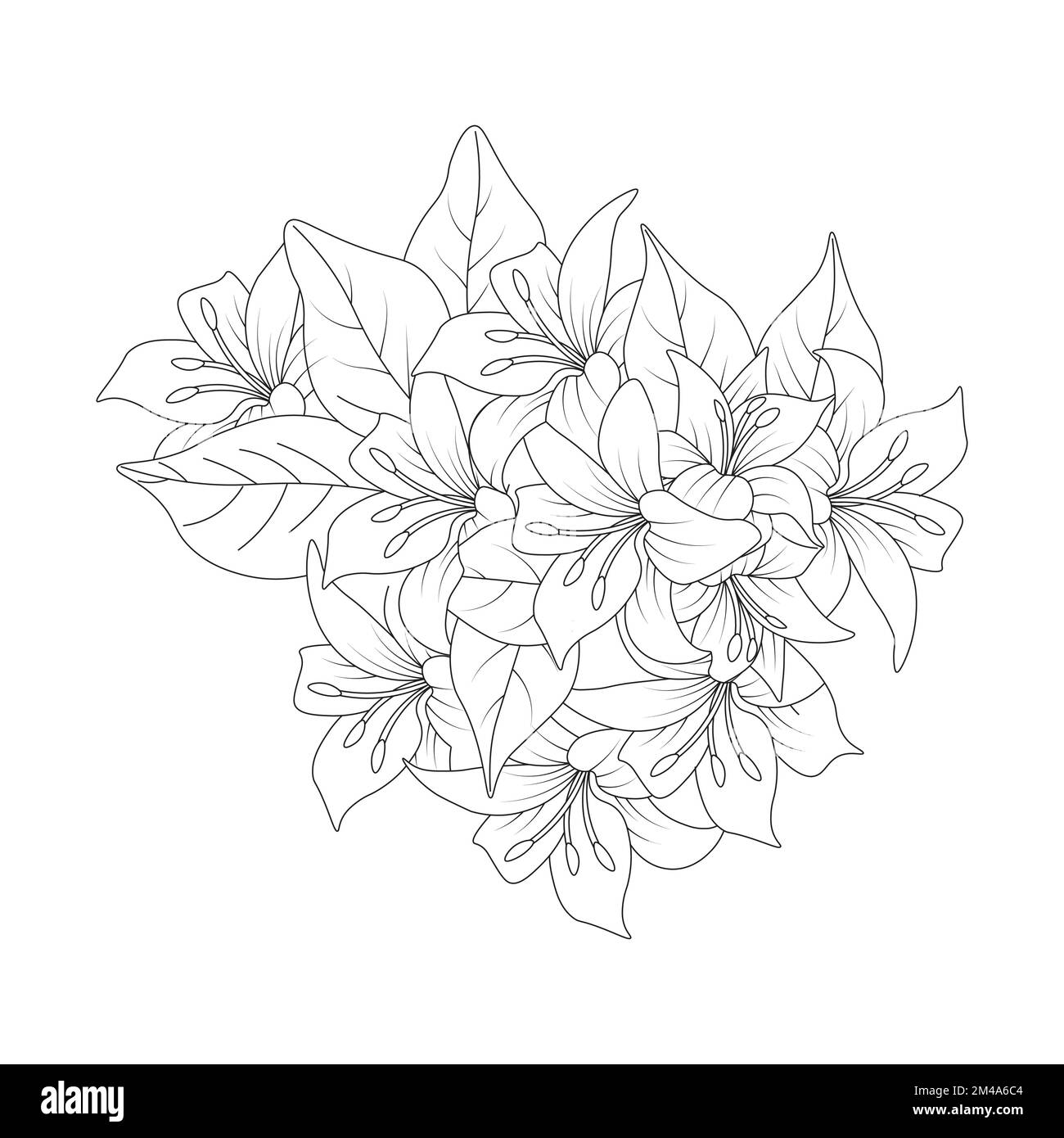 beautiful flowers coloring page with pencil sketch drawing detailed in ...
