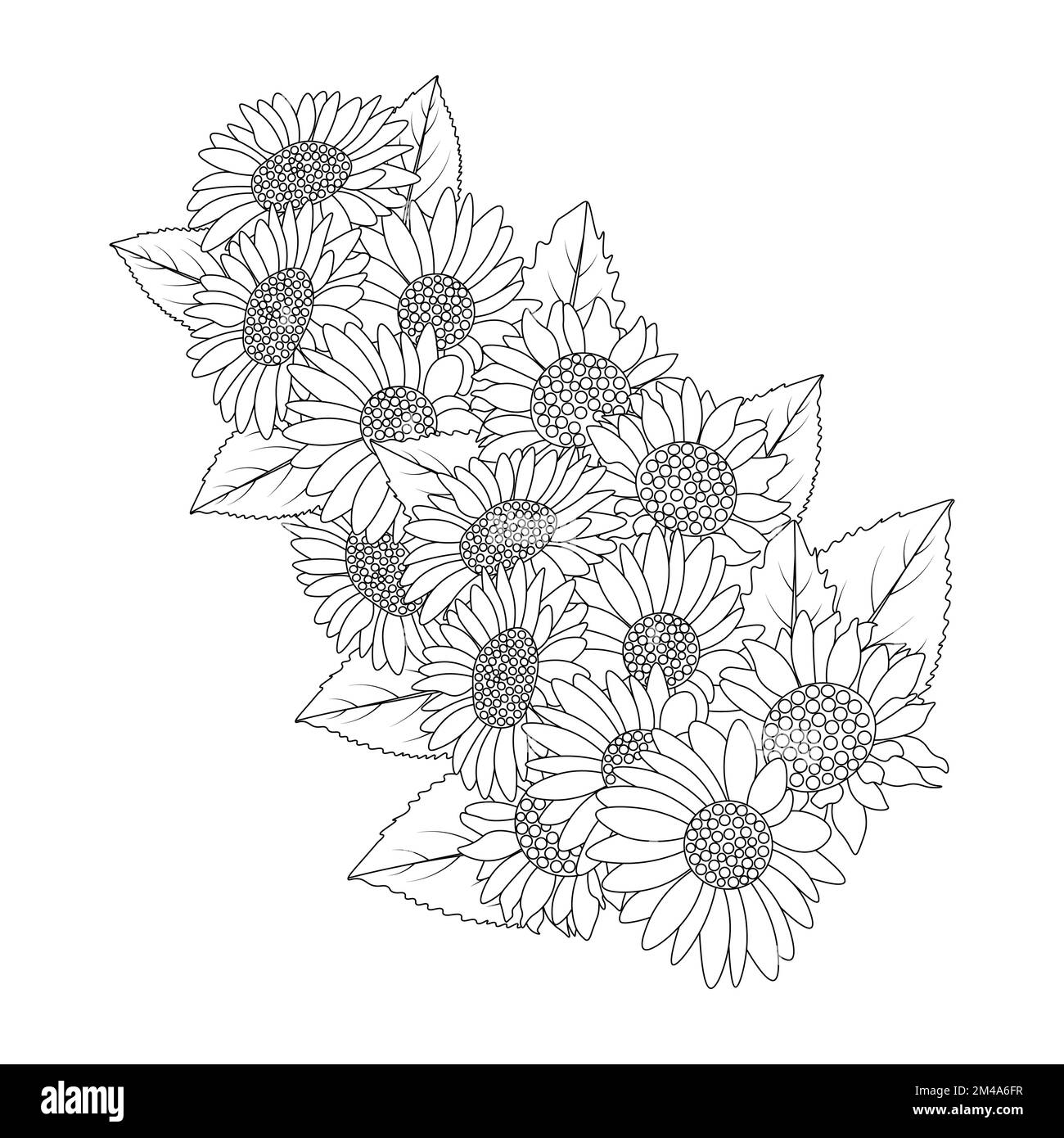 sunflower coloring page pencil drawing of vector design and blooming ...