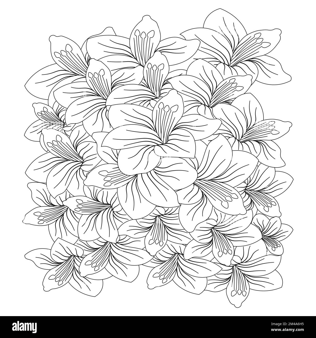 beautiful flowers coloring page with pencil sketch drawing detailed in ...