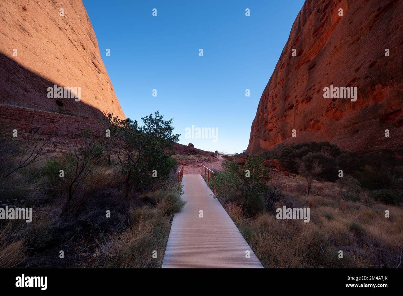 A path through canyon surrounded by bushes Stock Photo - Alamy
