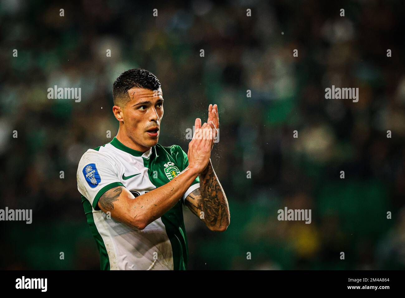 Pedro porro hi-res stock photography and images - Alamy