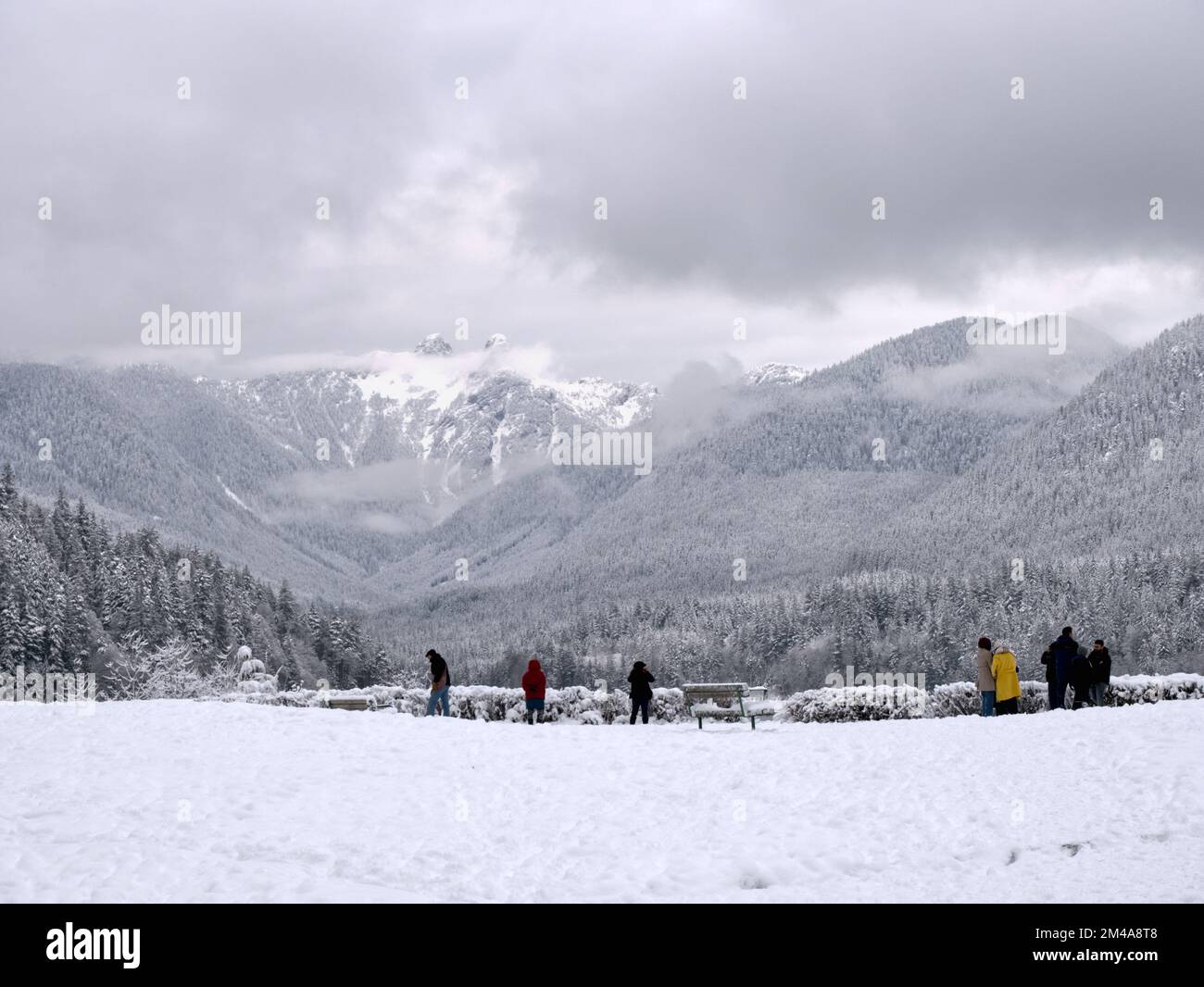 People enjoying the beautiful view of a snowy winter landscape at the ...