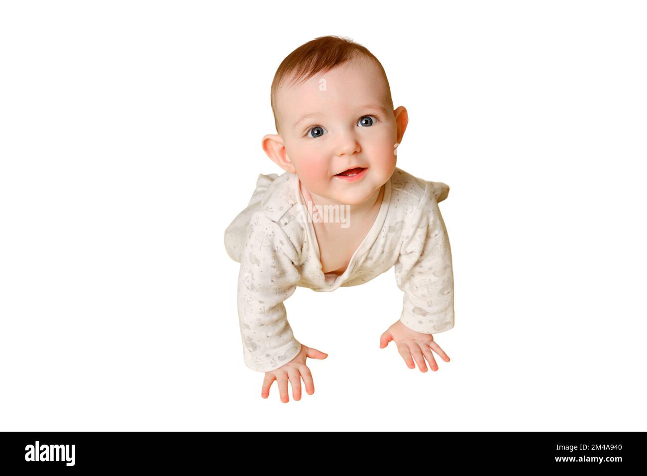 Happy toddler baby crawling, isolated on a white background. Funny ...