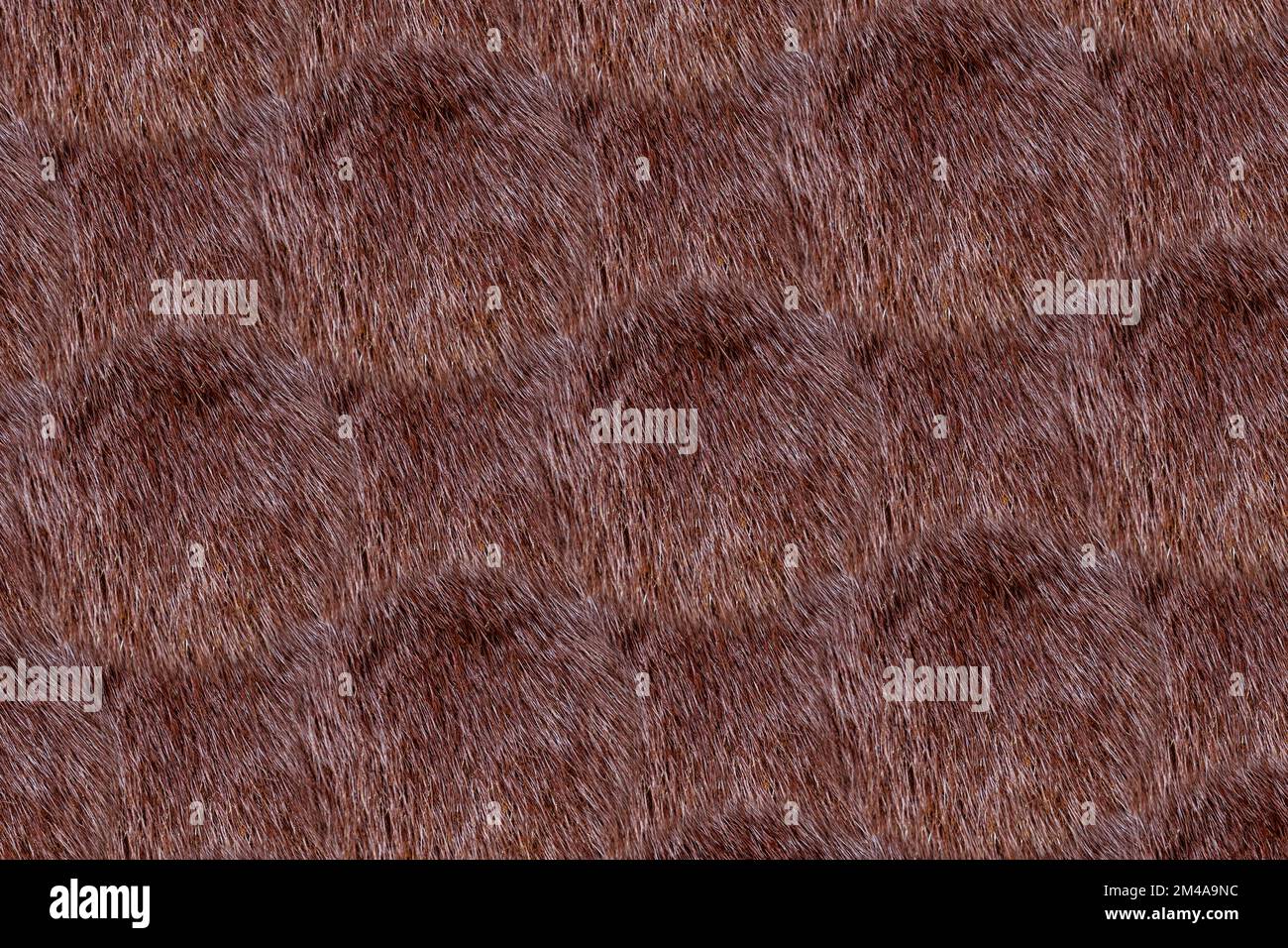 texture of natural beautiful shiny mink Stock Photo - Alamy