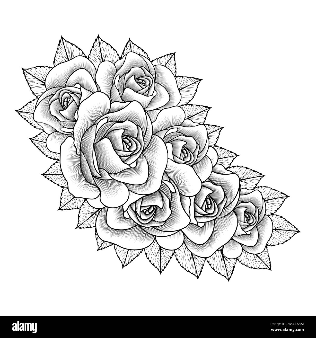 rose illustration of pencil line art with doodle style adult coloring ...