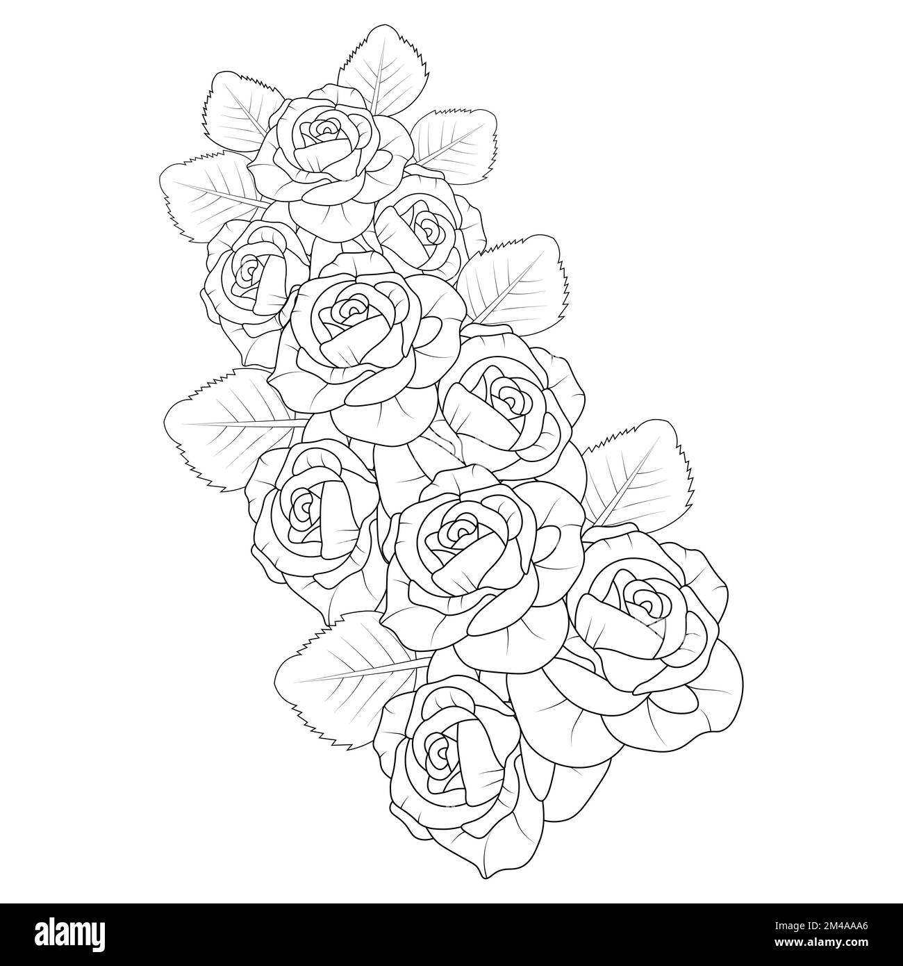 rose illustration of pencil line art with doodle style adult coloring ...