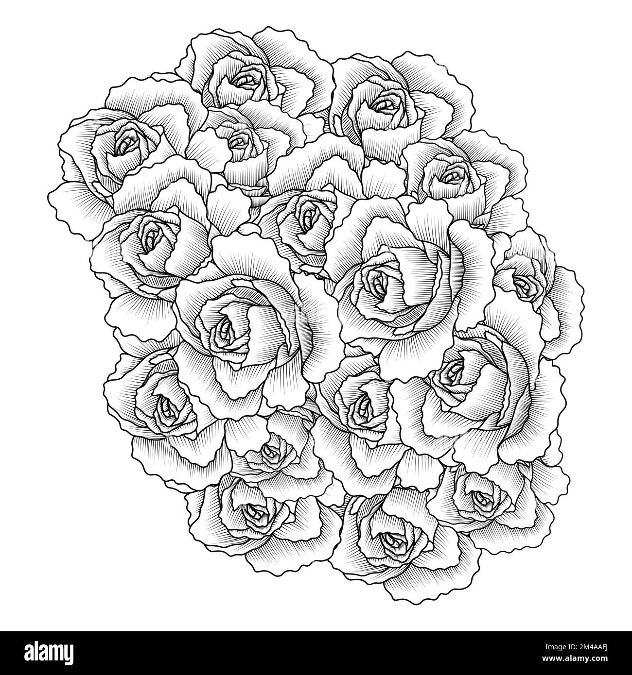 Bouquet Of Roses Pencil Drawing
