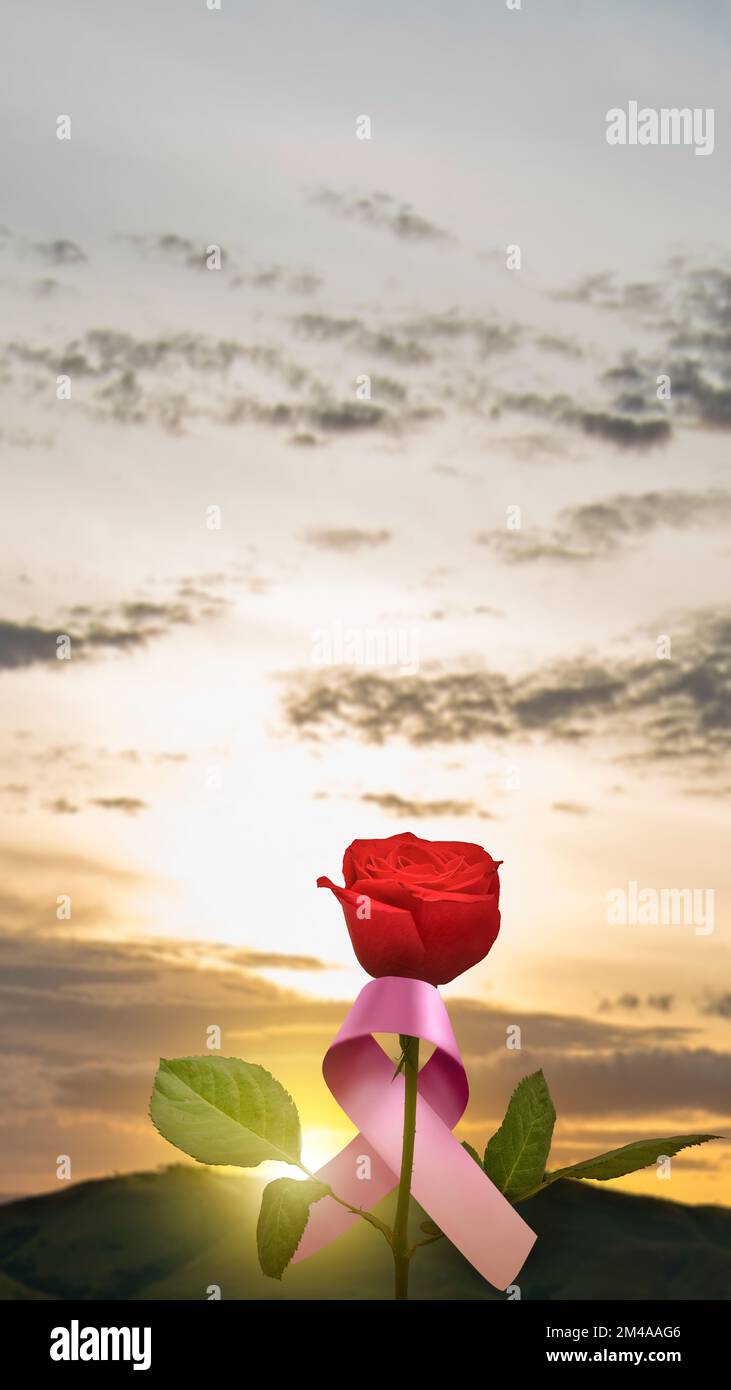 Purple ribbon and rose flower with a sunset sky background. World ...