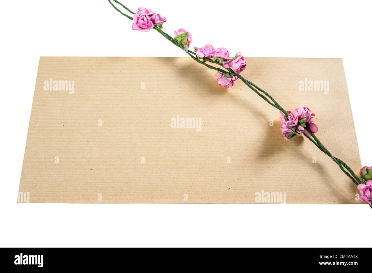 Flower stem with empty brown paper for copy space isolated over white ...