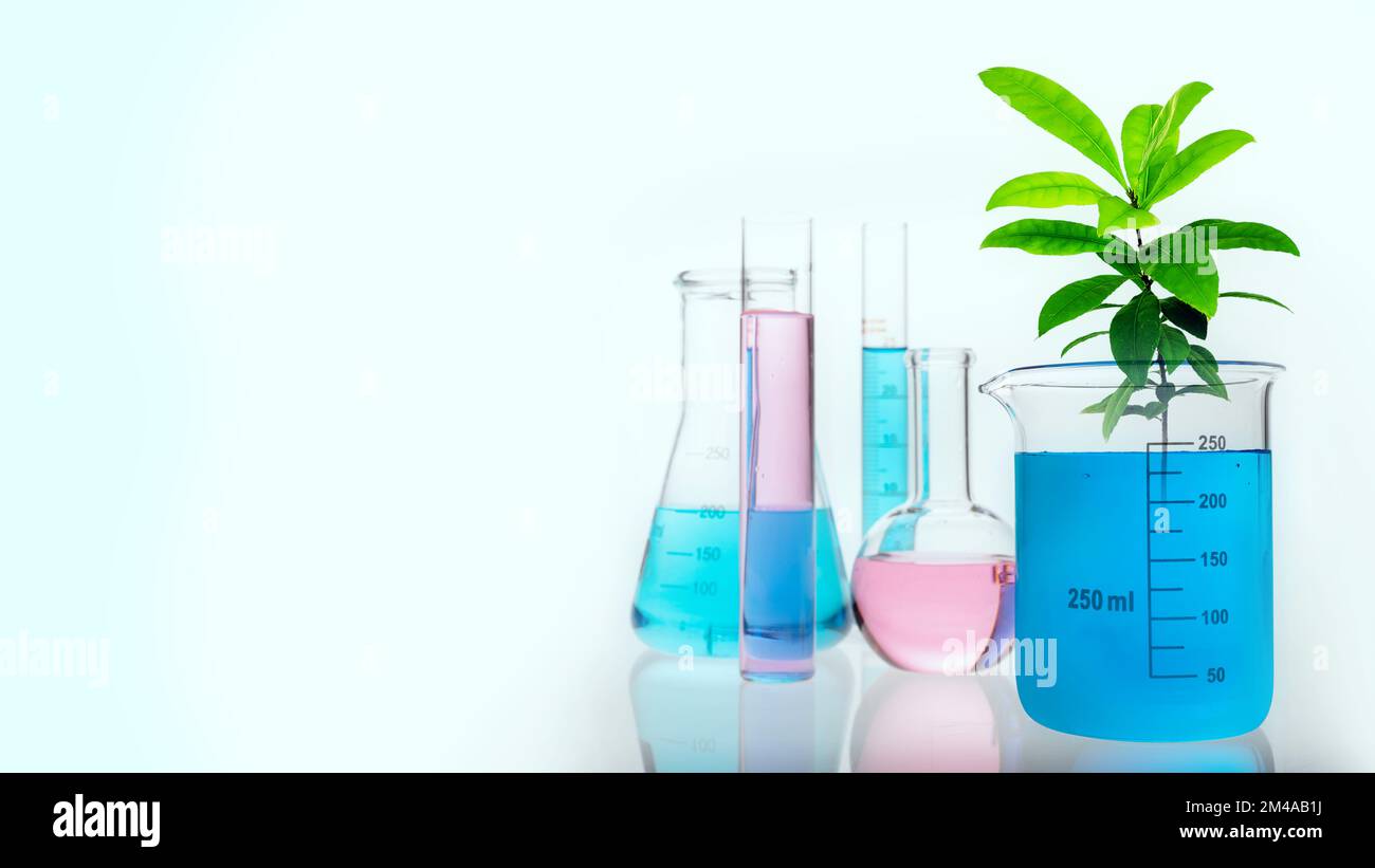 Colorful chemicals in laboratory glassware with green leaves on a ...