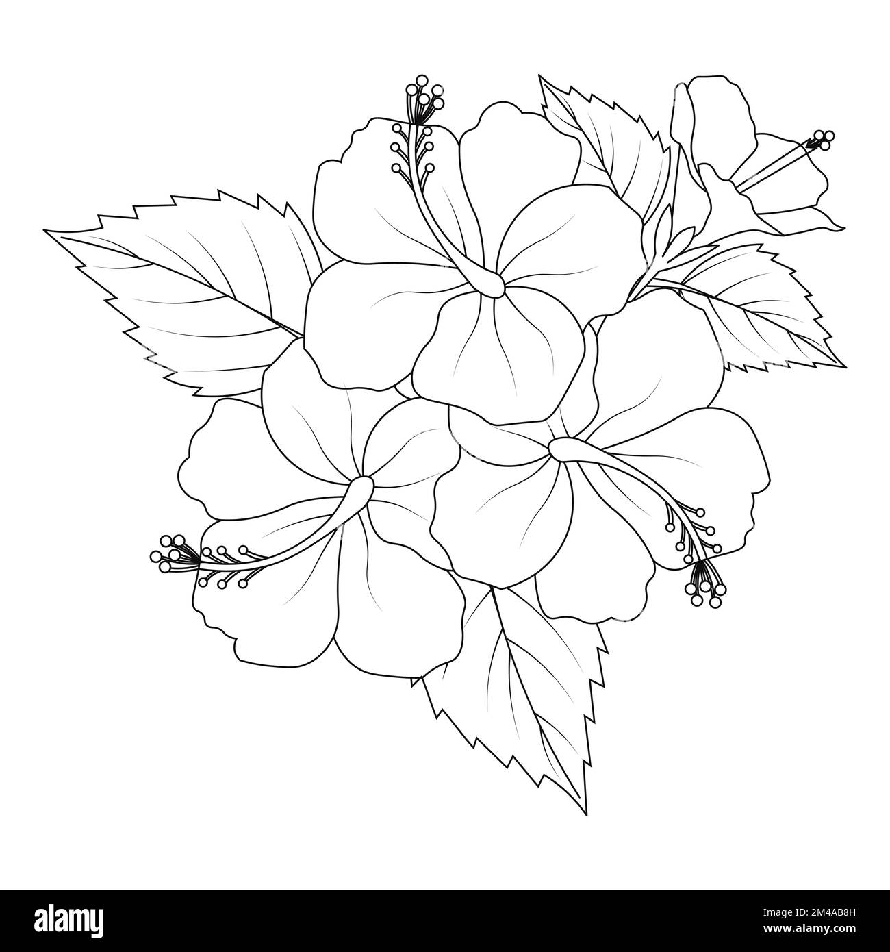 hibiscus flower coloring page illustration with line art stroke of ...