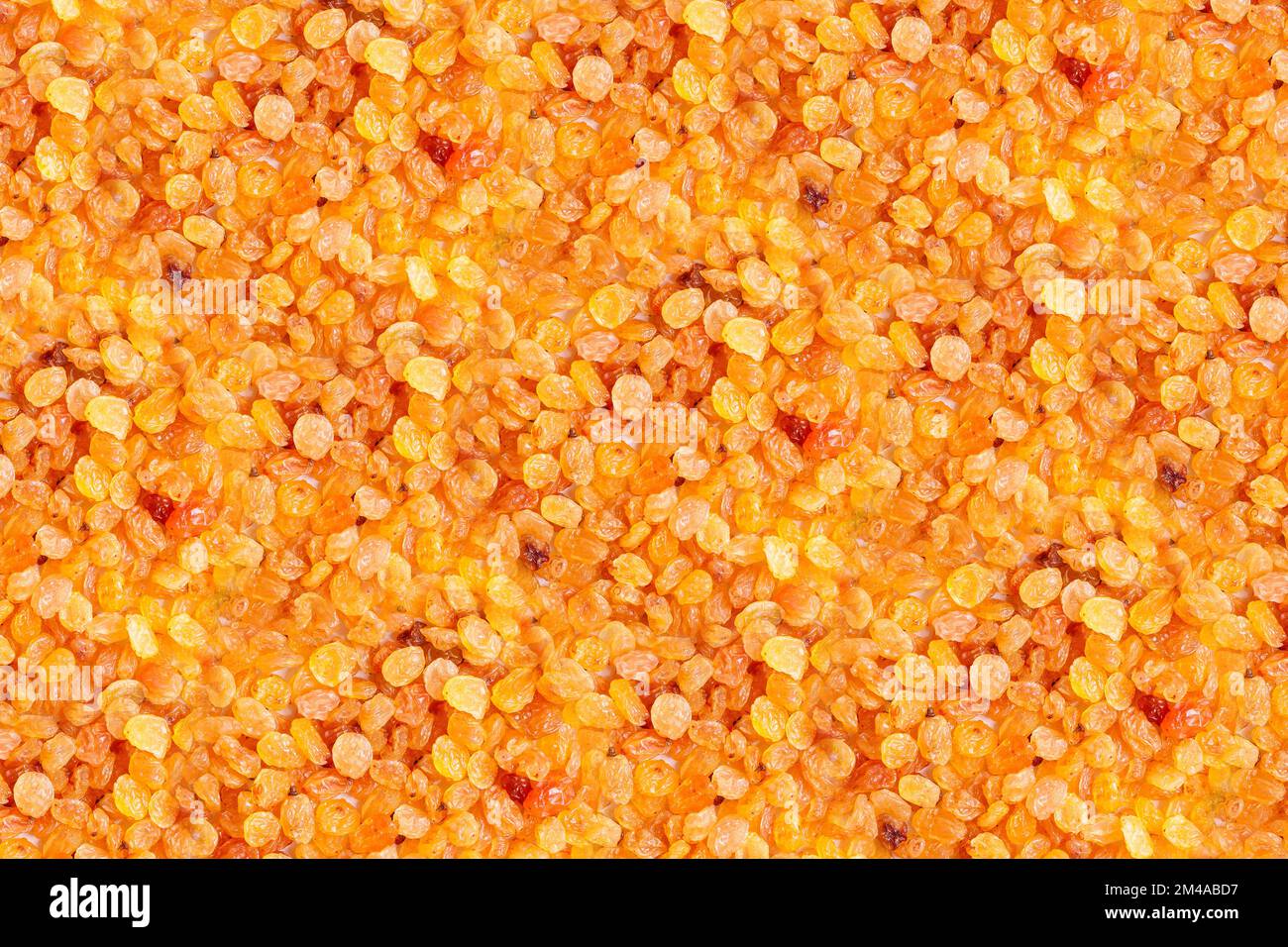 texture of natural fresh yellow raisins Stock Photo - Alamy