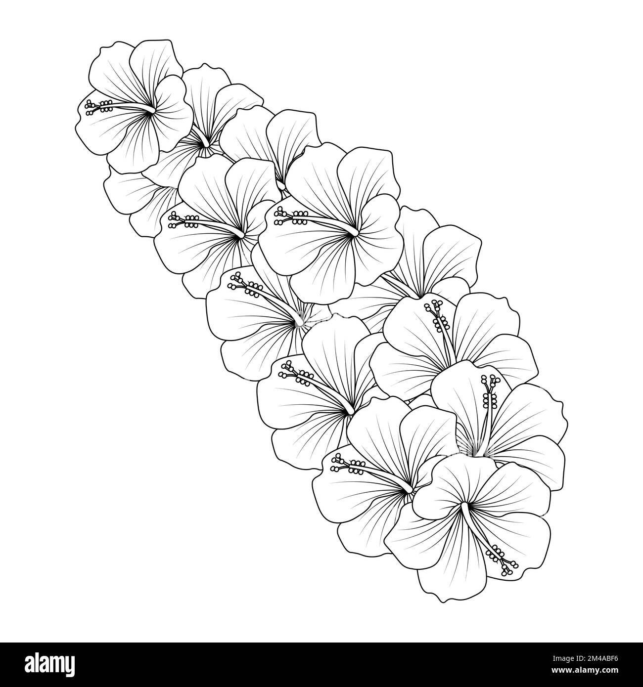 Rose sharon flower common Stock Vector Images - Alamy