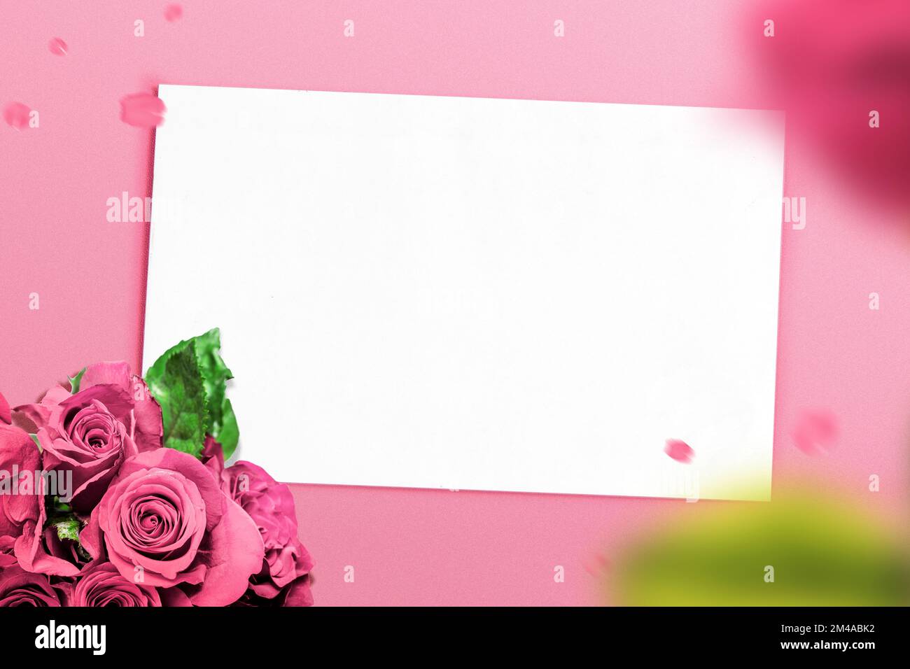 Empty white paper and pink rose with a colored background. Valentines ...