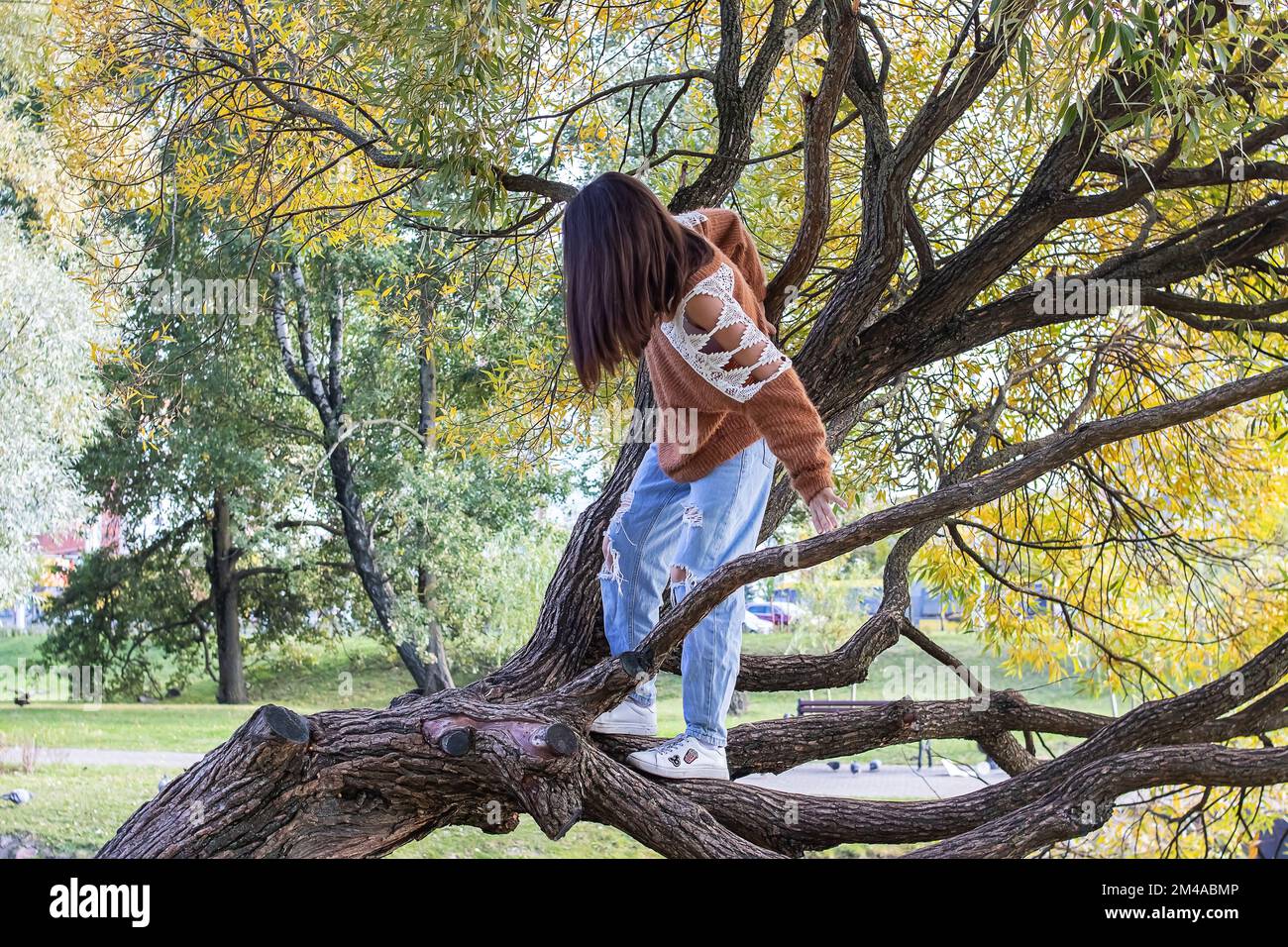 Teen girl climb tree hi-res stock photography and images - Alamy