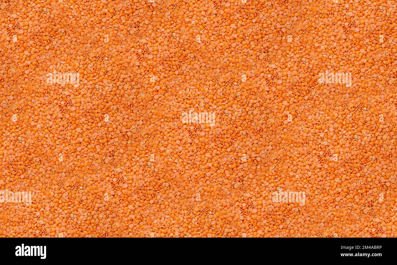 raw, natural, fresh lentils, isolated Stock Photo - Alamy