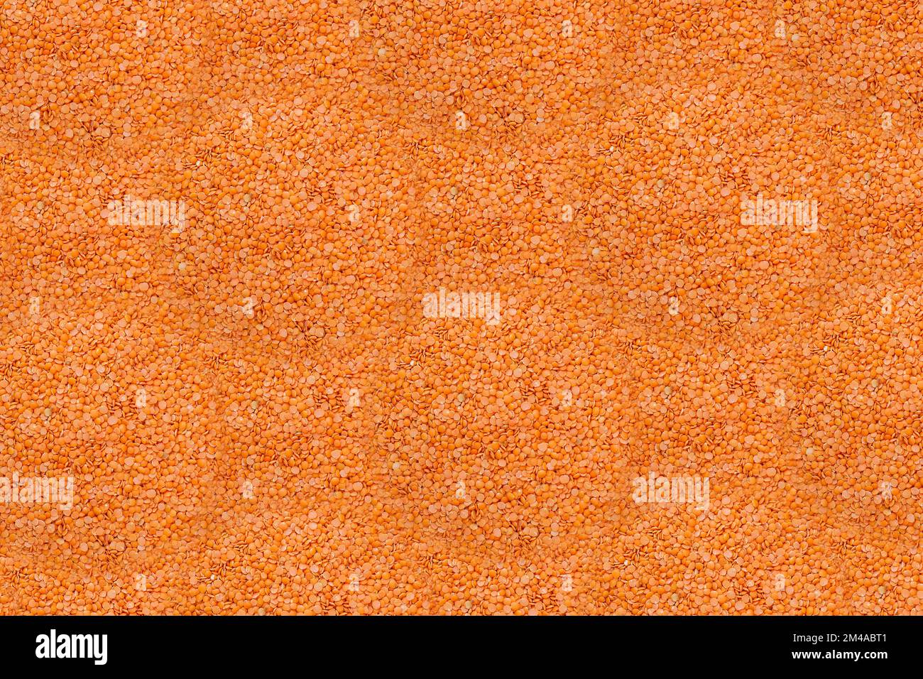 raw, natural, fresh lentils, isolated Stock Photo - Alamy