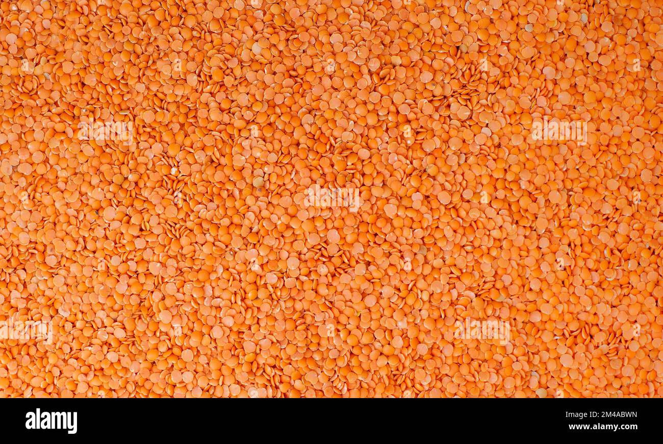raw, natural, fresh lentils, isolated Stock Photo - Alamy