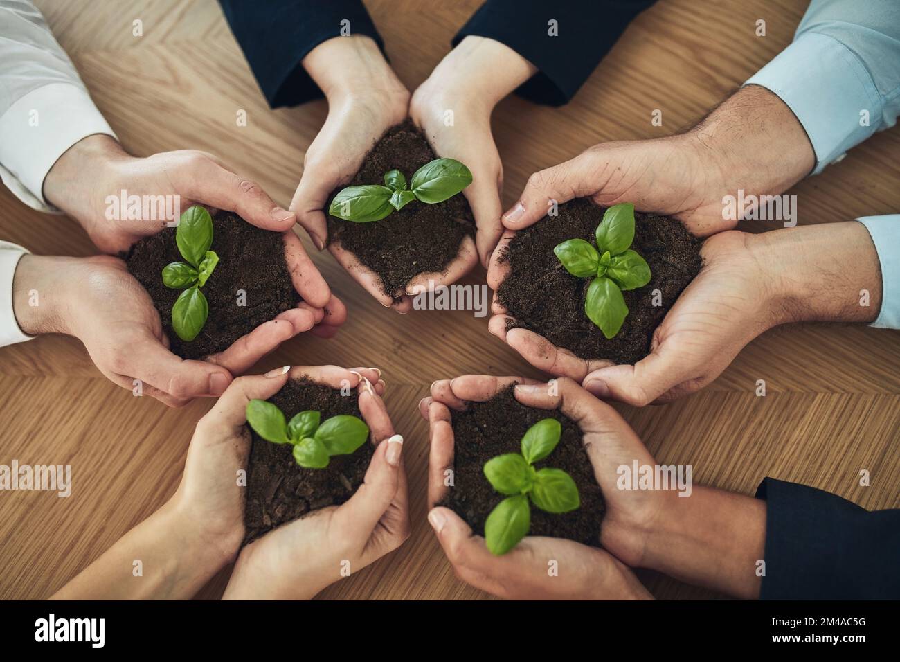 Growing a career hi-res stock photography and images - Alamy