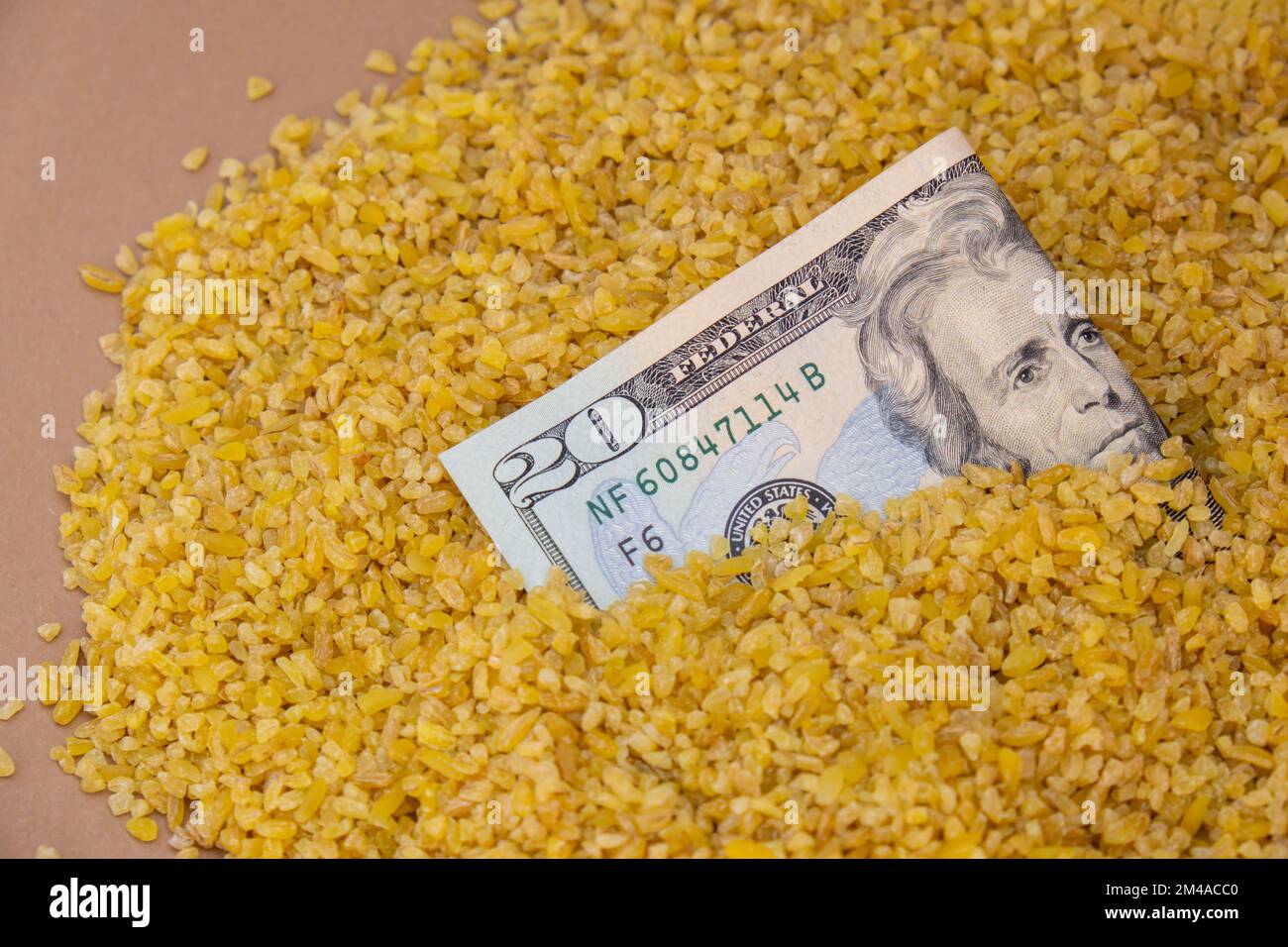 US Dollar bill paper money currency banknote in buckwheat porridge. The ...