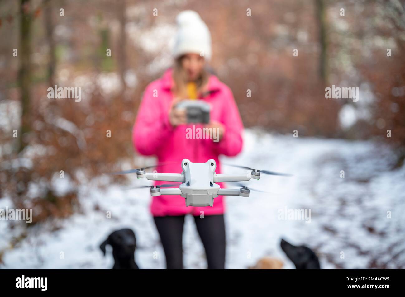Young woman in pink winter jacket standing in snowy forest using a ...