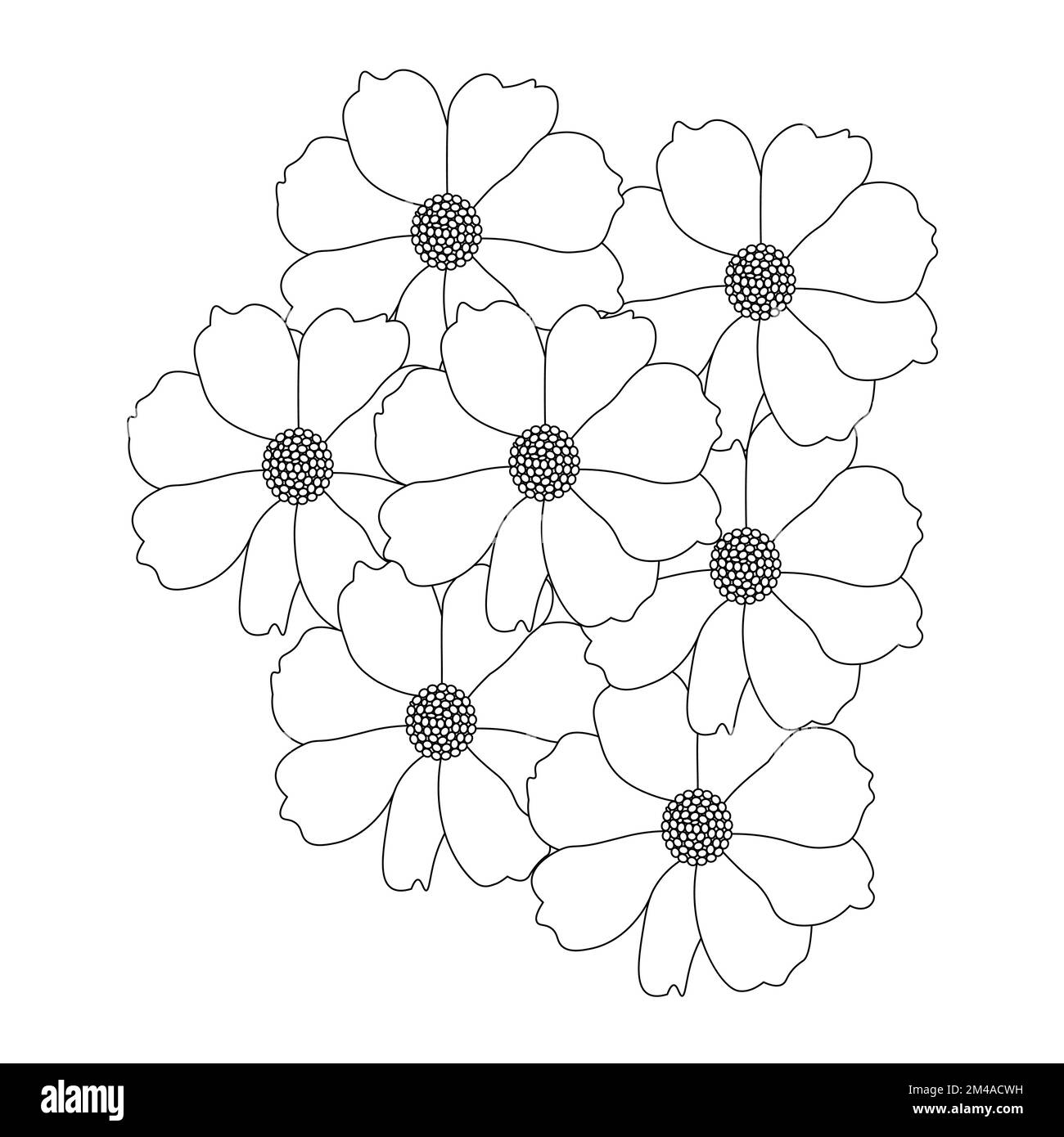 cosmos flower coloring page of contour blooming cosmos plant for summer ...