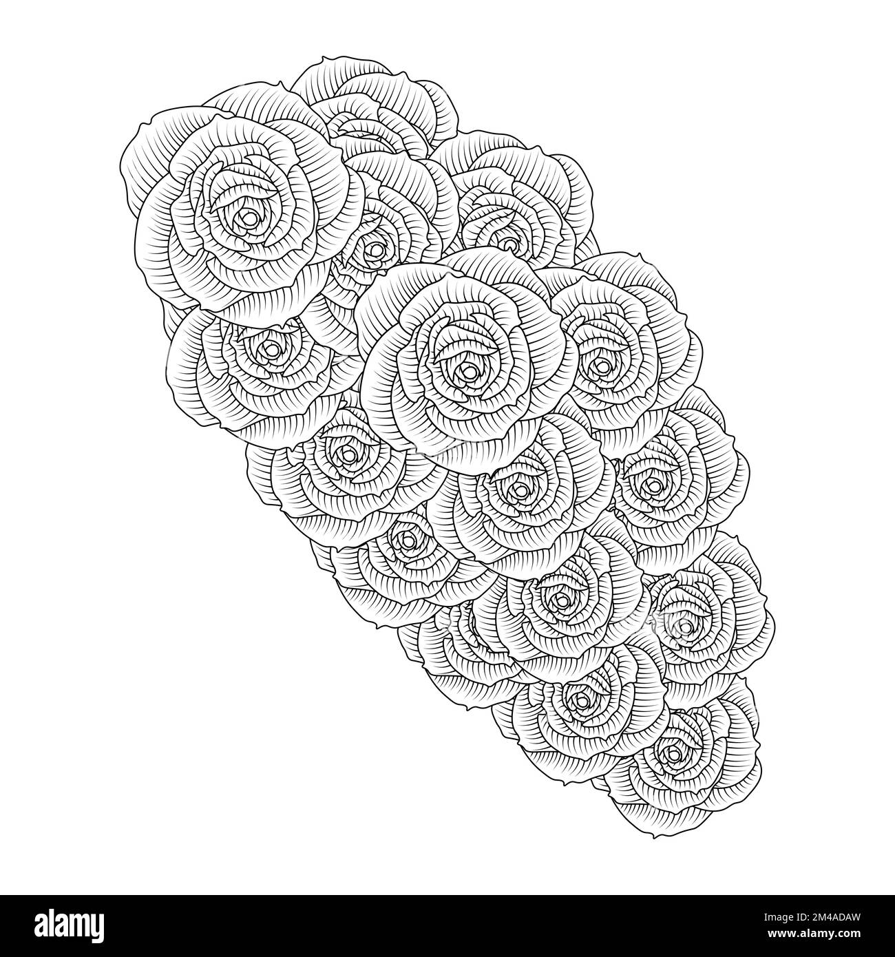 red roses flower coloring page line sketch drawing with decorative anti ...