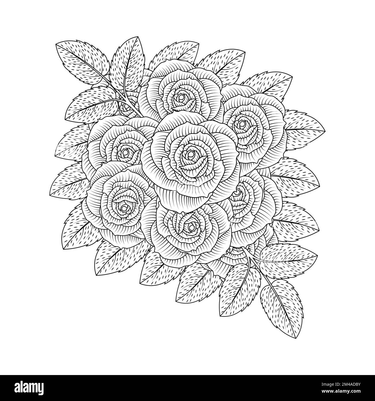 red roses flower coloring page line sketch drawing with decorative anti ...