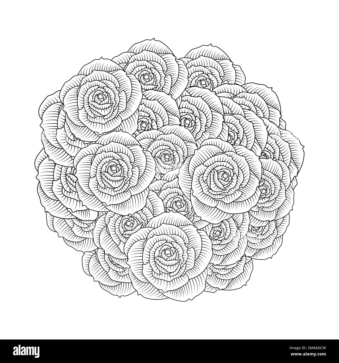red roses flower coloring page line sketch drawing with decorative anti ...