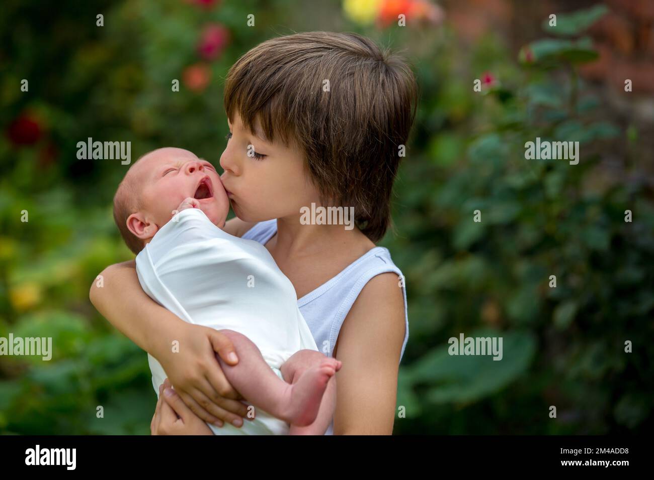 Little children, boys with a newborn brother in the park. Two little kids and brother standingin ...