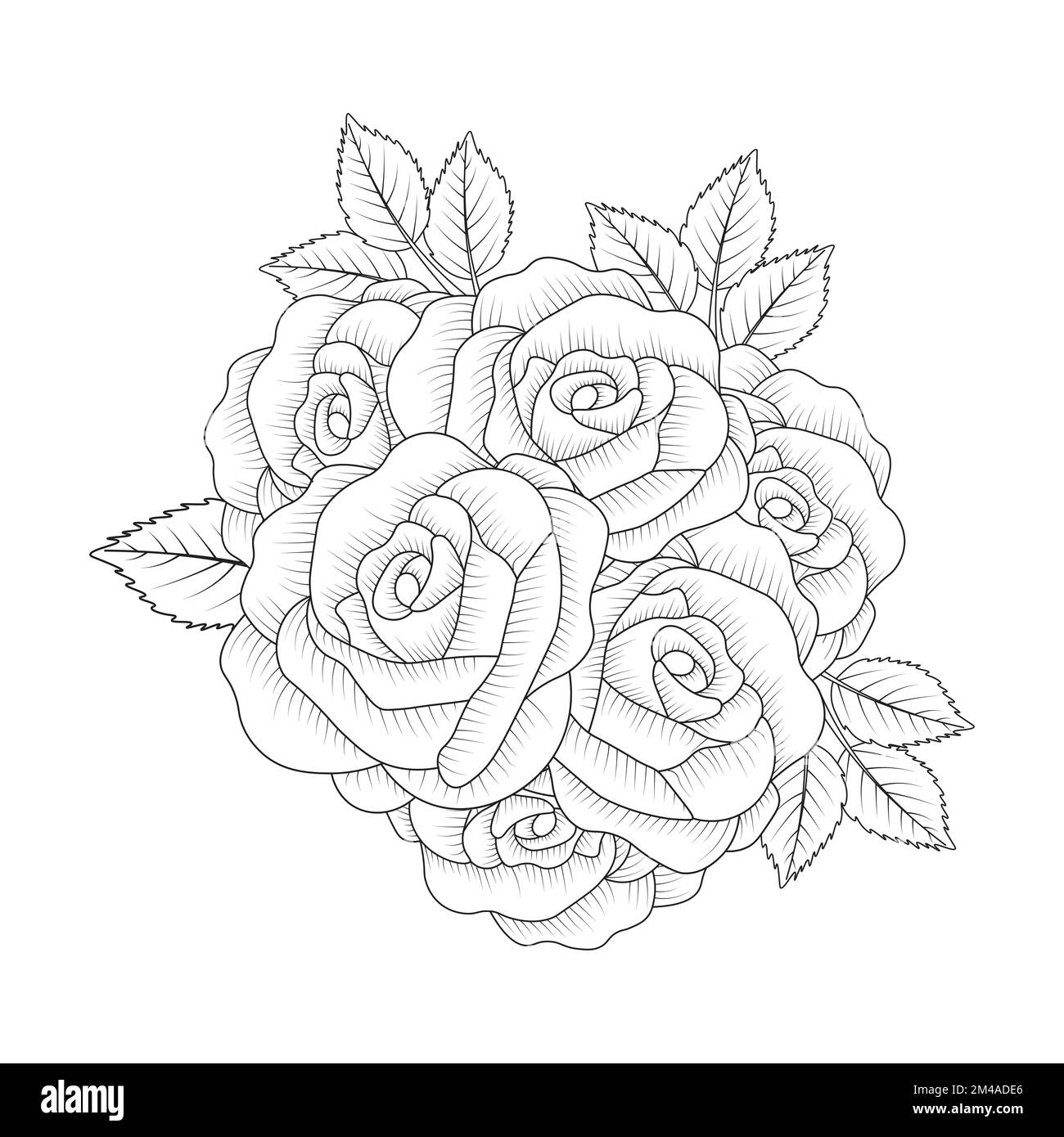 red roses flower coloring page line sketch drawing with decorative anti ...