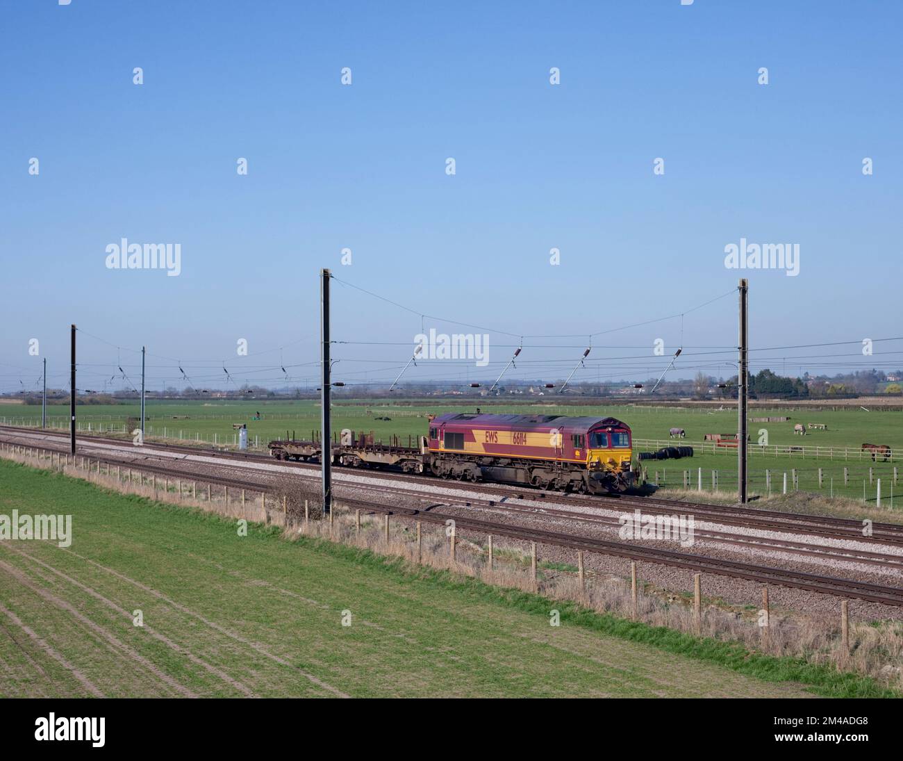 DB Cargo rail class 66 locomotive 66114 in EWS colours hauling a short ...