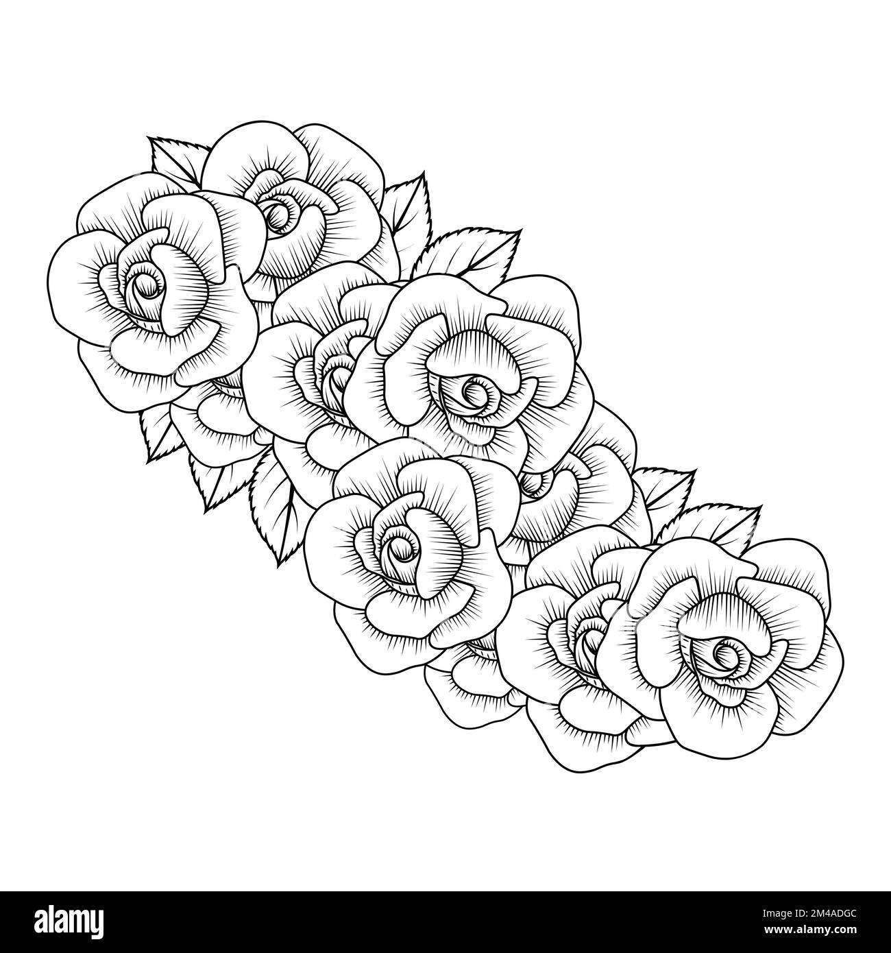 red roses flower coloring page line sketch drawing with decorative anti ...