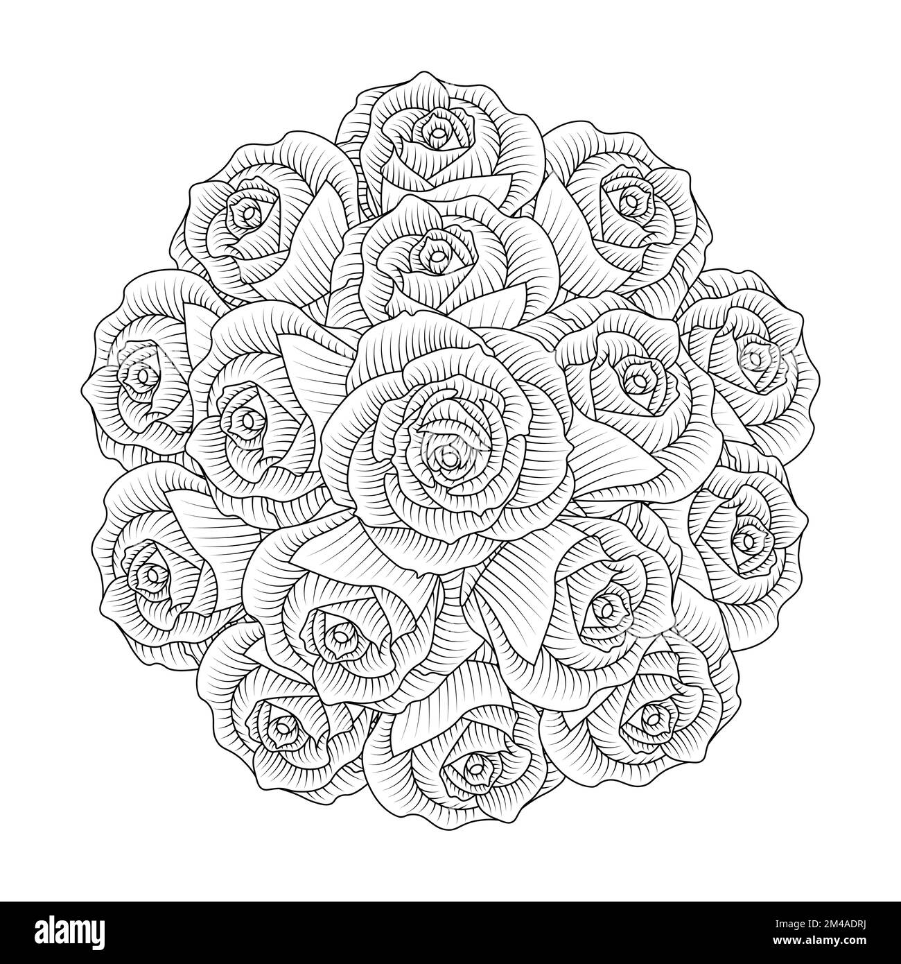 red roses flower coloring page line sketch drawing with decorative anti ...