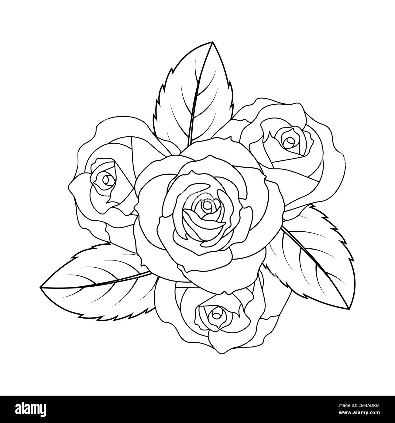 red roses flower coloring page line sketch drawing with decorative anti ...