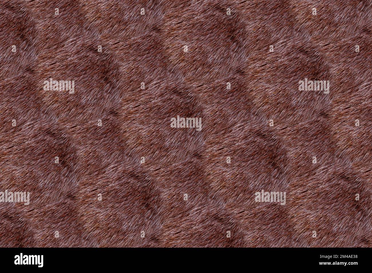 texture of natural beautiful shiny mink Stock Photo - Alamy