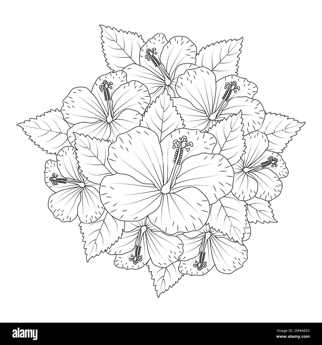 hibiscus flower blooming petal and leaves with hibiscus plant of ...