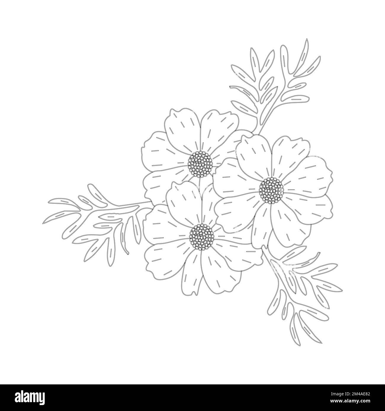 garden cosmos flower illustration coloring page with blooming petal ...