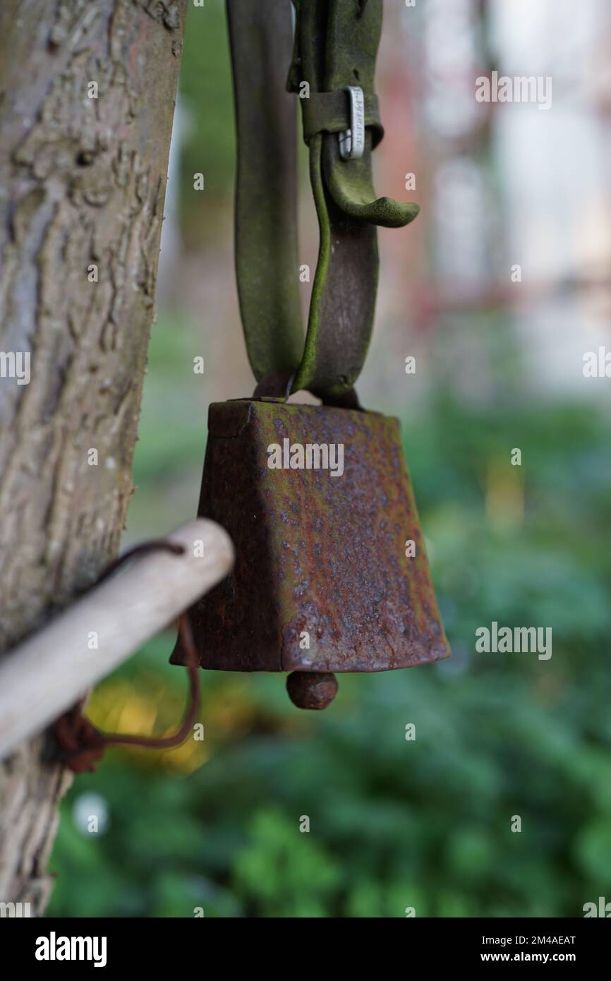 Bell hanging from tree hi-res stock photography and images - Alamy