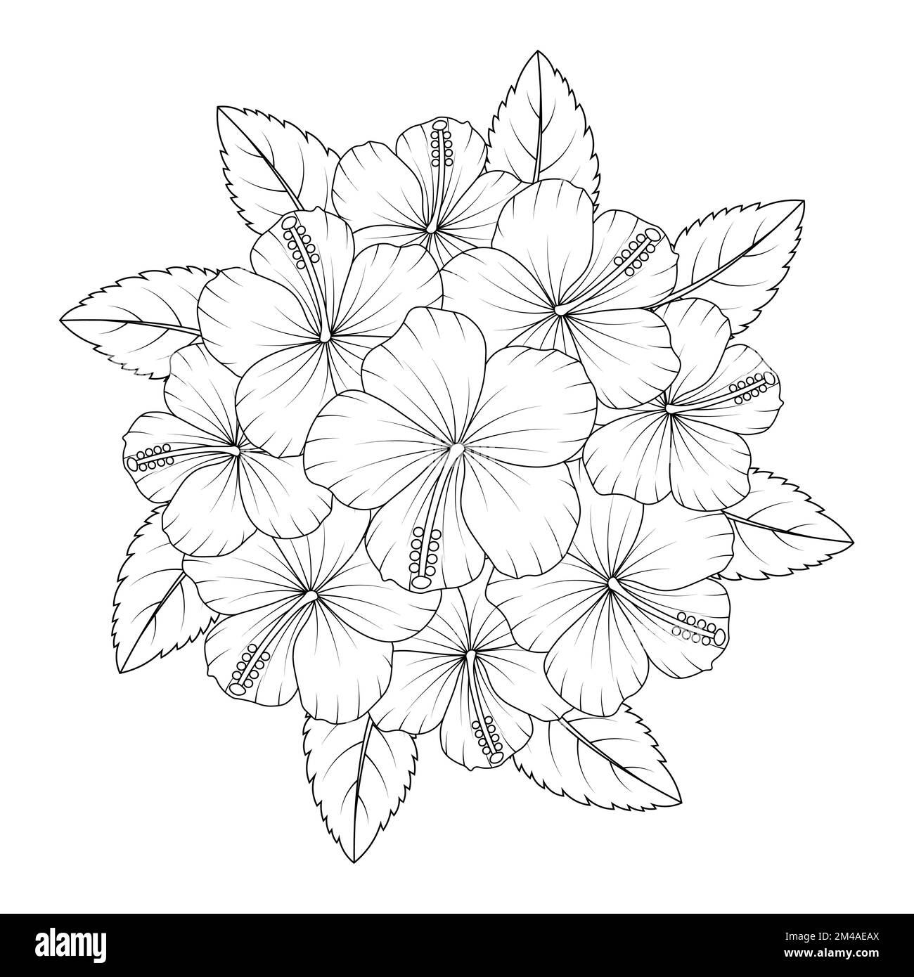 hibiscus flower blooming petal and leaves with hibiscus plant of ...