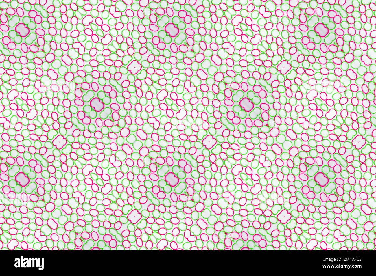 texture multi color rubber band Stock Photo - Alamy