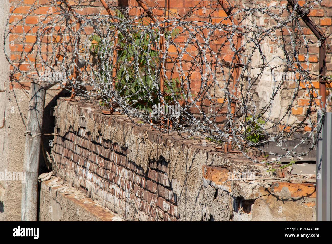 barbed wire on an old brick fence Stock Photo - Alamy