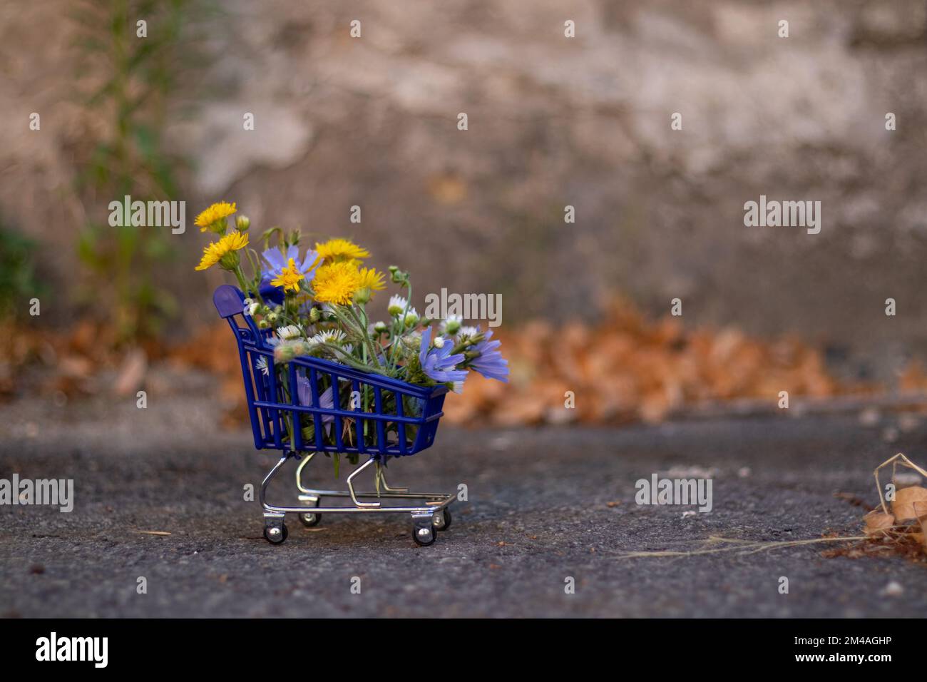 blue basket with supermarket full of flowers in spring on the street on ...