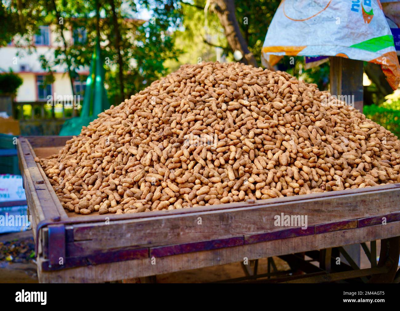 Bulk peanuts hi-res stock photography and images - Alamy