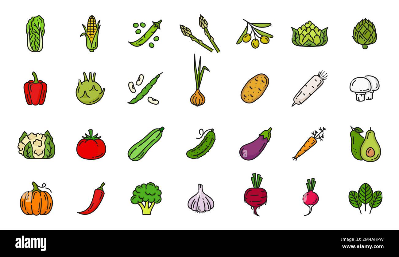 Raw vegetable color line icons. Farm harvest pictograms, natural food ...