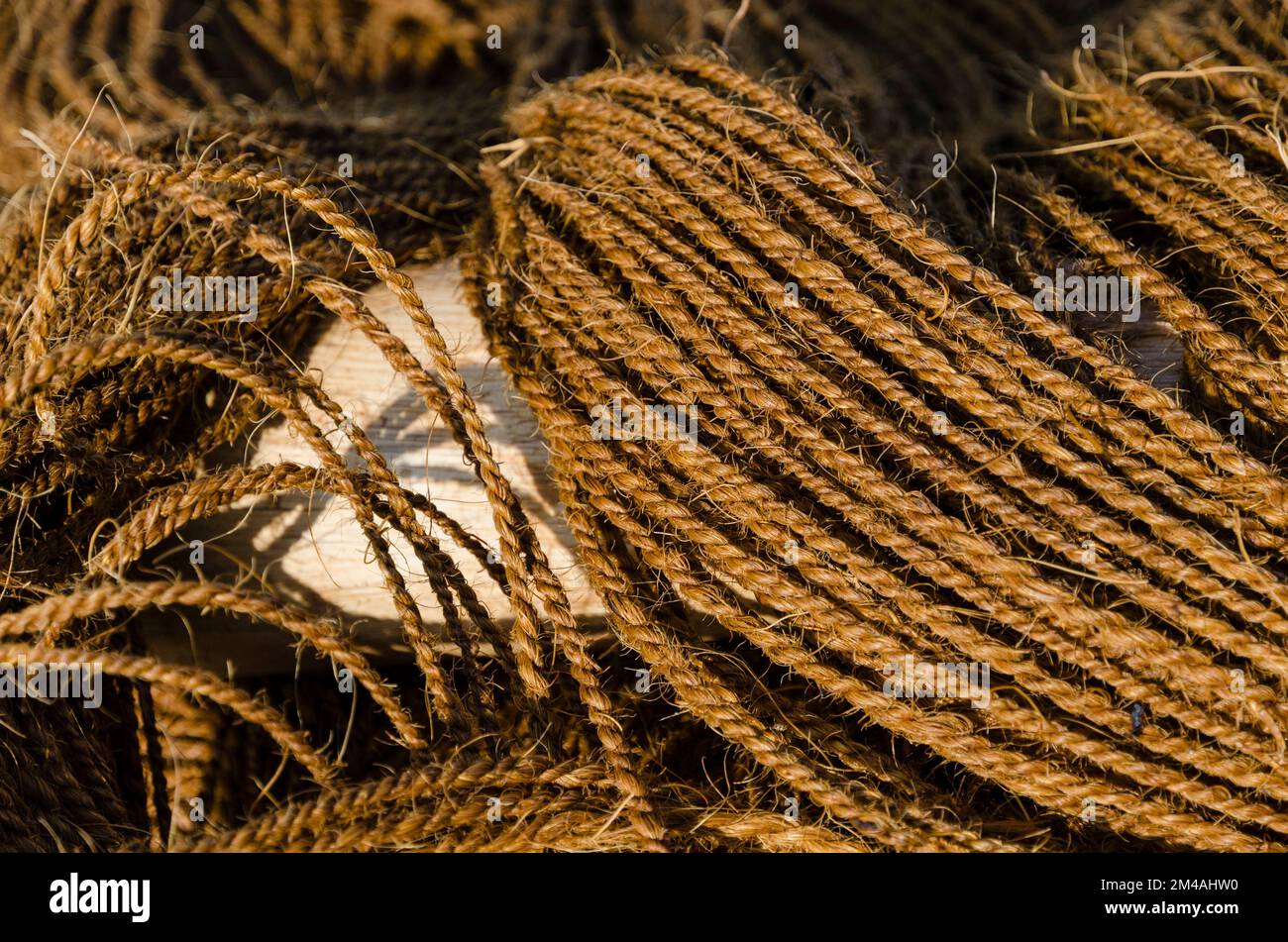 Man throwing fishing net india hi-res stock photography and images - Alamy
