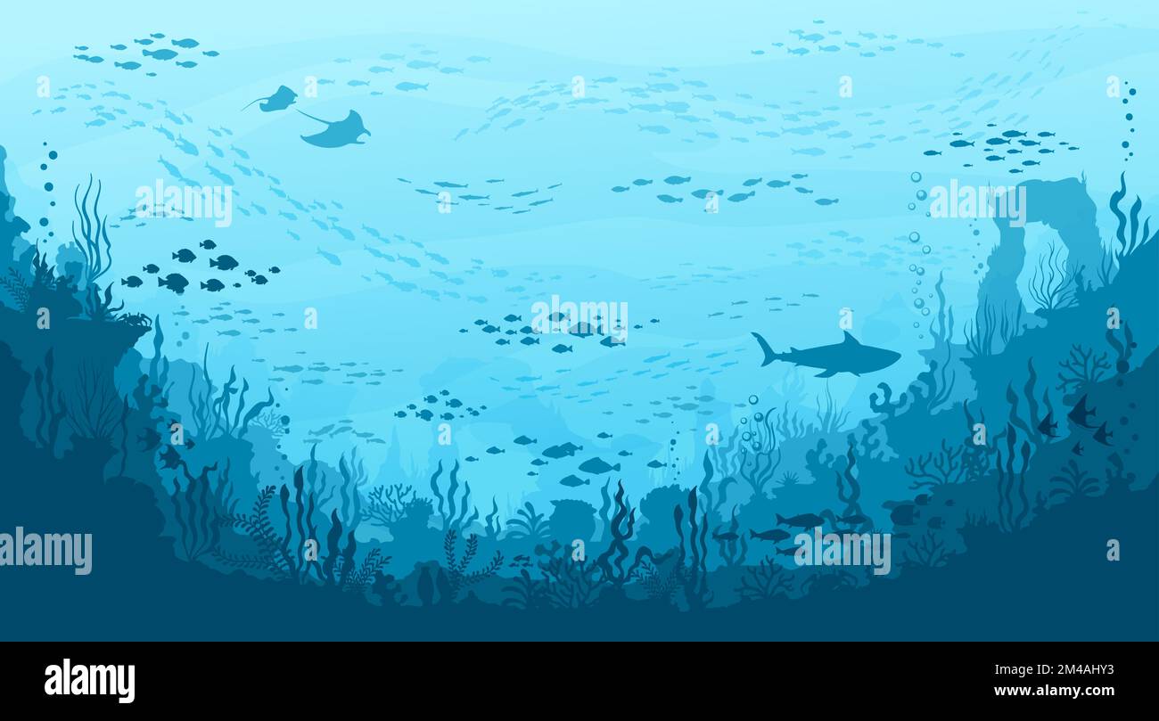 Underwater landscape. Manta and shark, seaweeds and corals, fish shoal ...